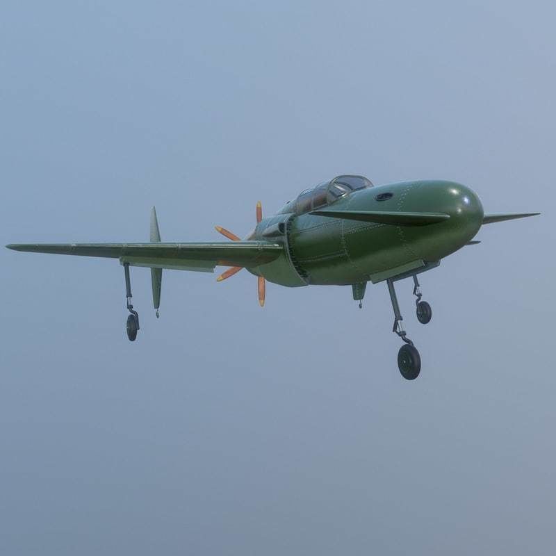 Canard Fighter Airplane 3D model | CGTrader