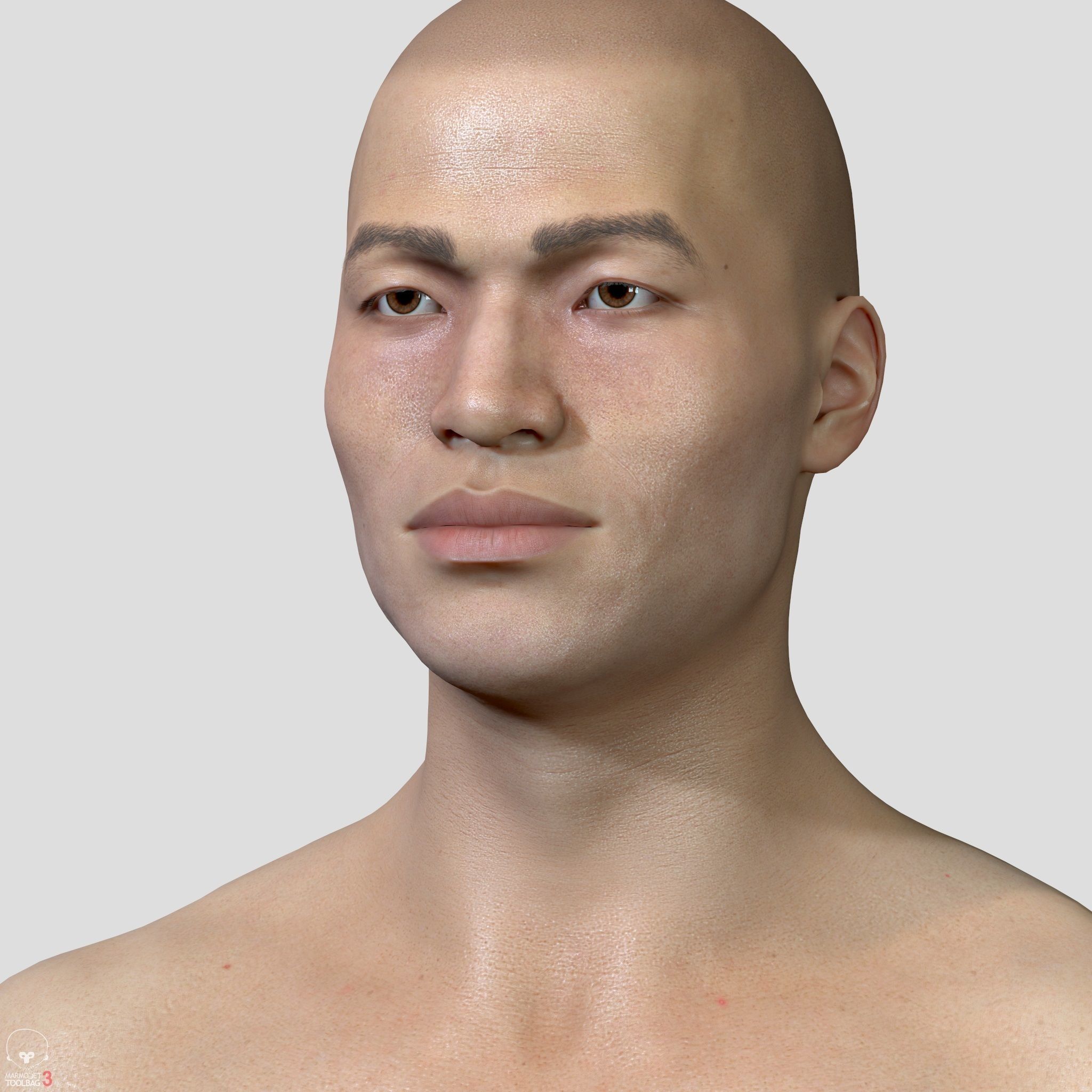 3D model Average Asian Male Body VR / AR / low-poly | CGTrader