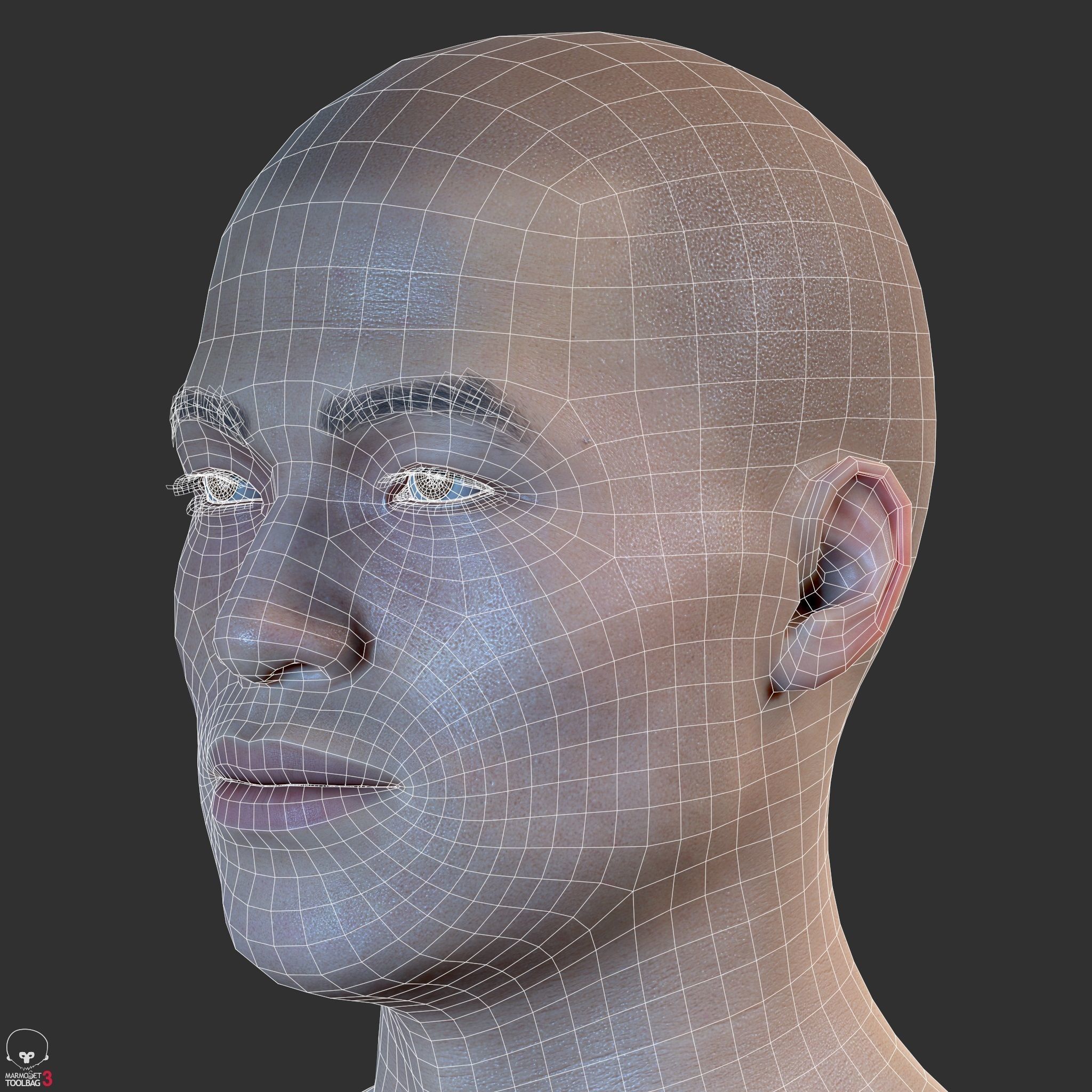 3D model Average Asian Male Body VR / AR / low-poly | CGTrader