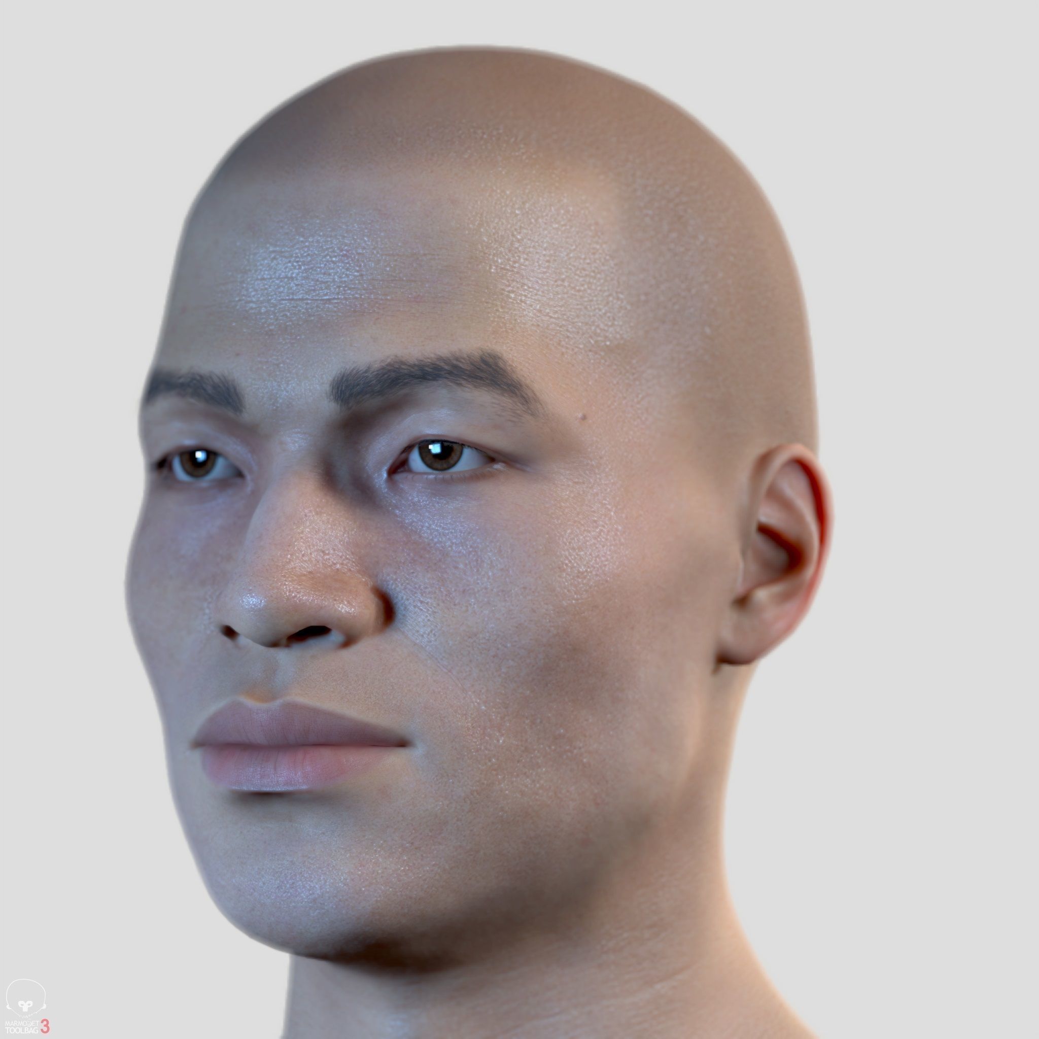 3D model Average Asian Male Body VR / AR / low-poly | CGTrader