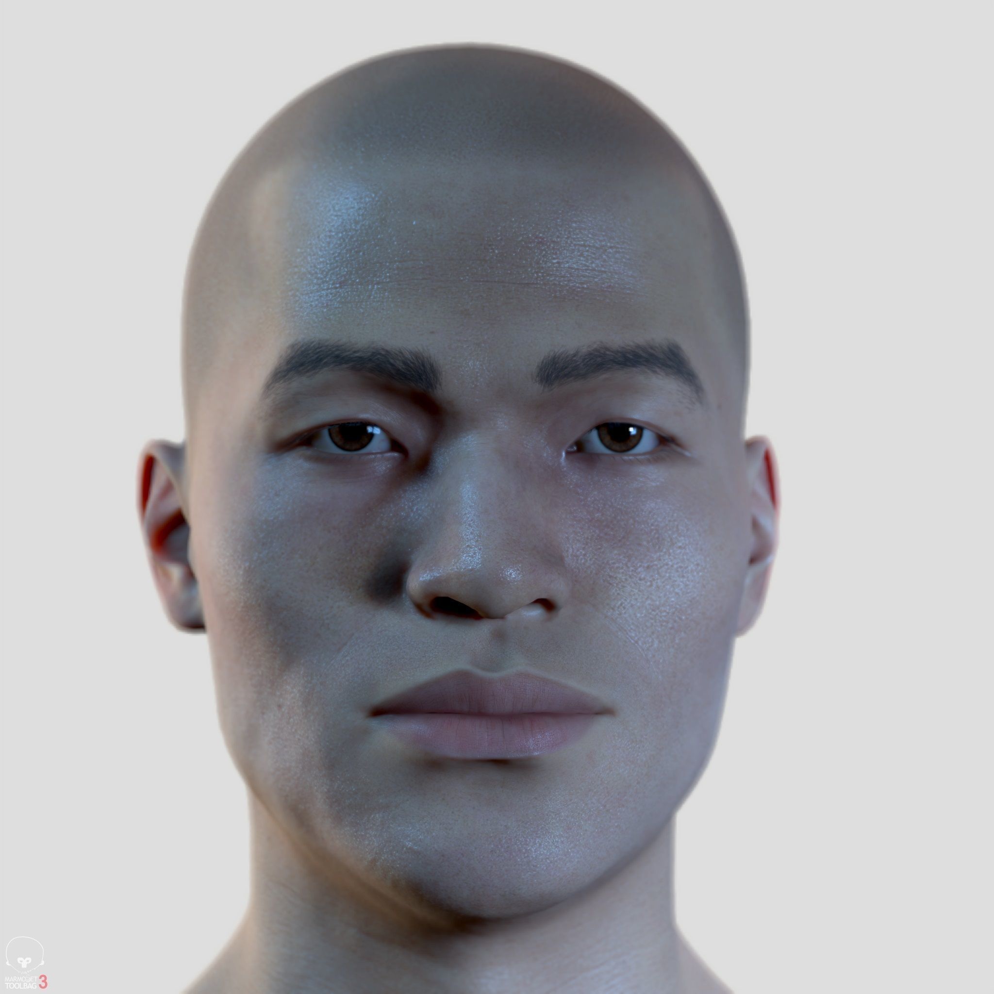 3D model Average Asian Male Body VR / AR / low-poly | CGTrader