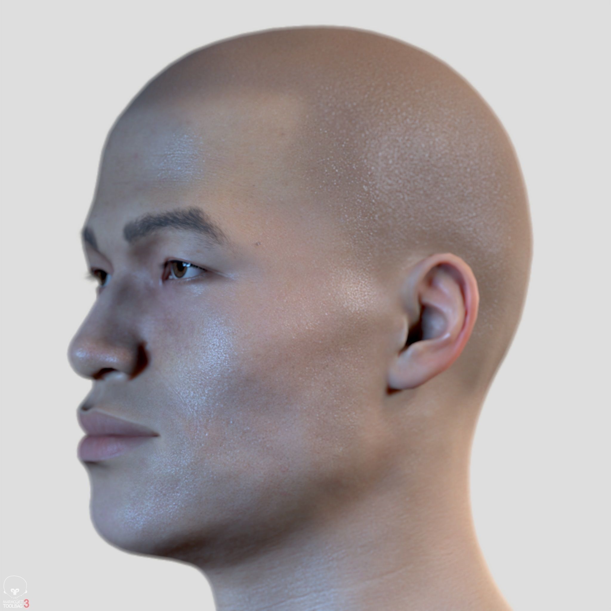 3D model Average Asian Male Body VR / AR / low-poly | CGTrader