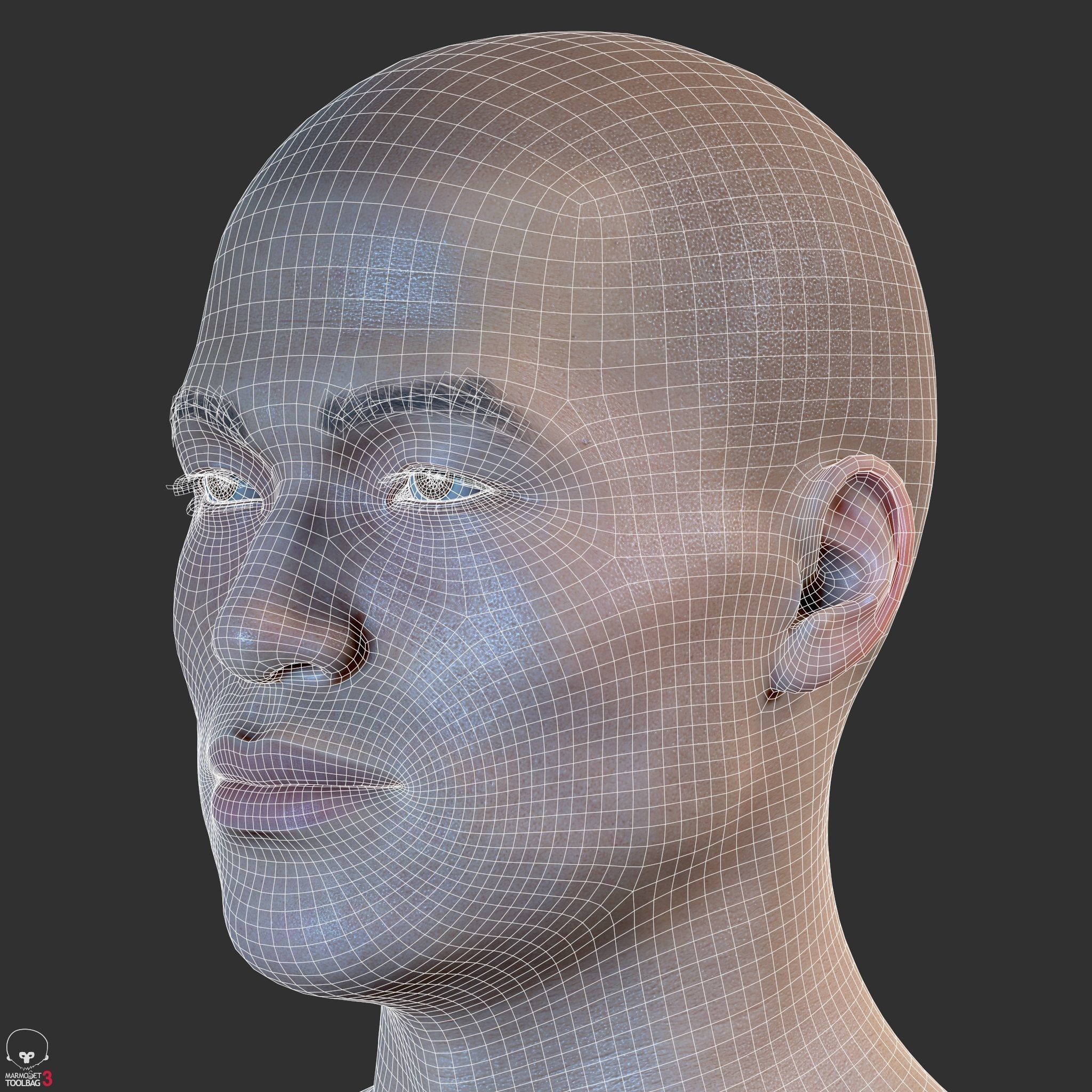 3D model Average Asian Male Body VR / AR / low-poly | CGTrader