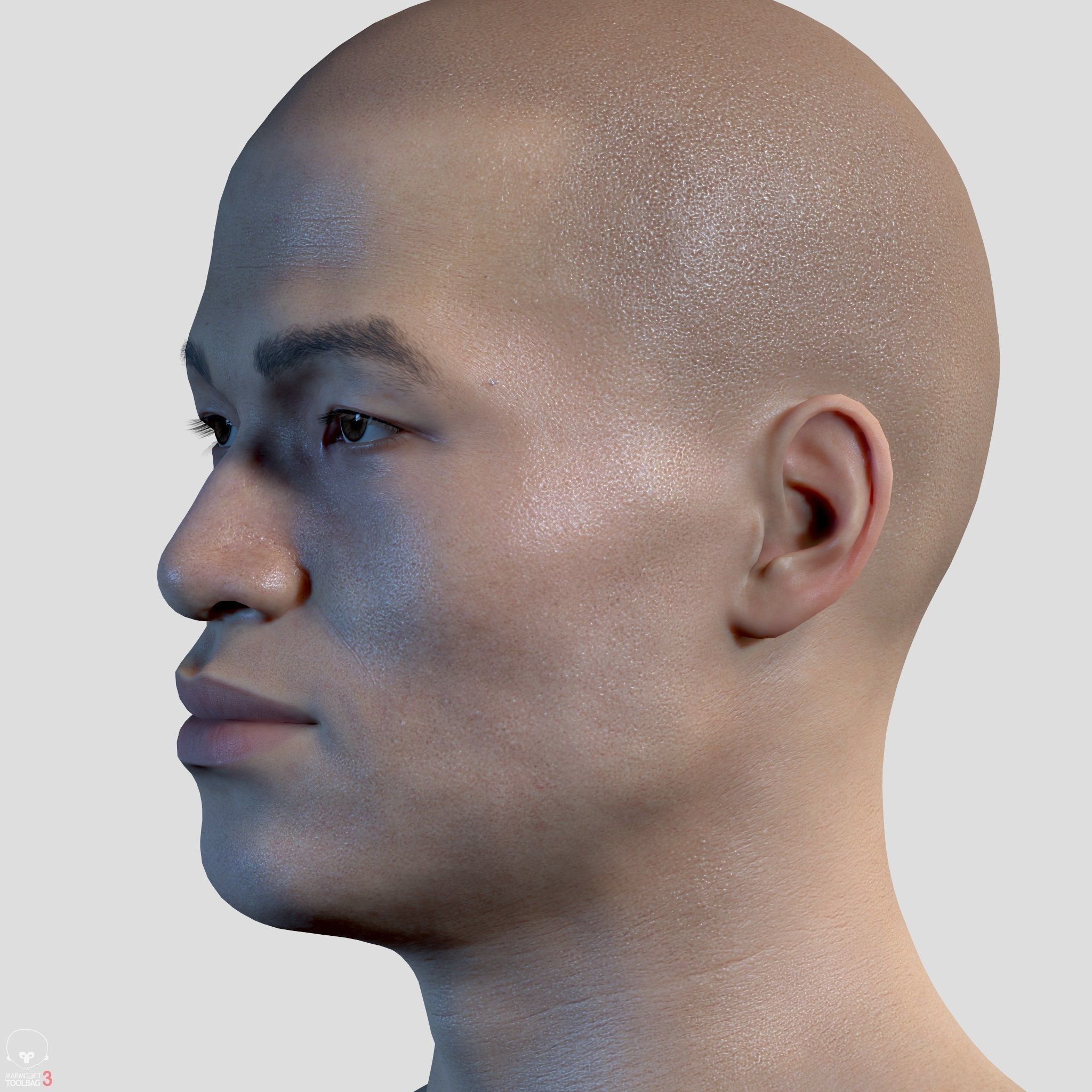 3D model Average Asian Male Body VR / AR / low-poly | CGTrader