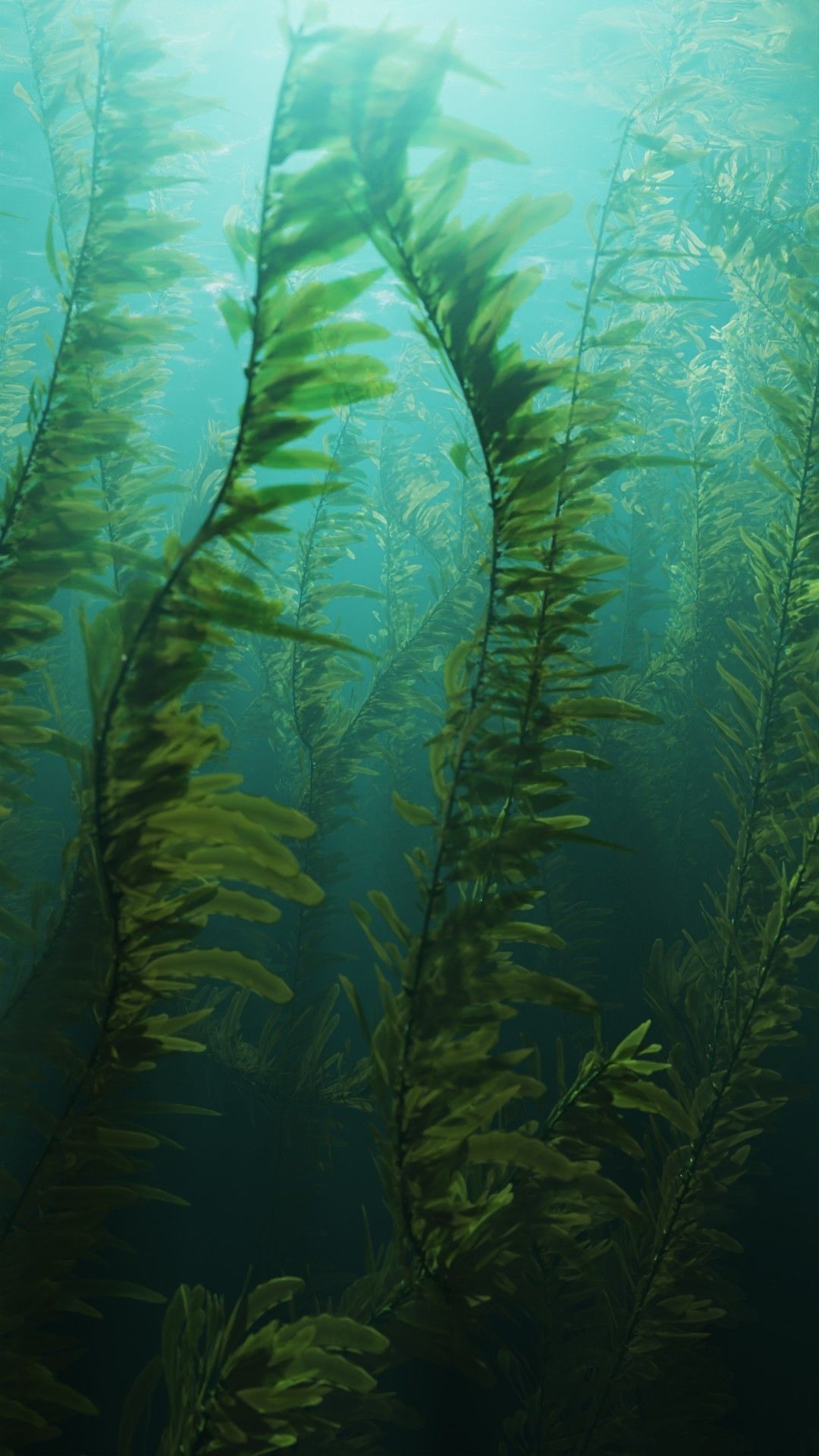 Procedural Kelp Forest Environment 3D model animated | CGTrader