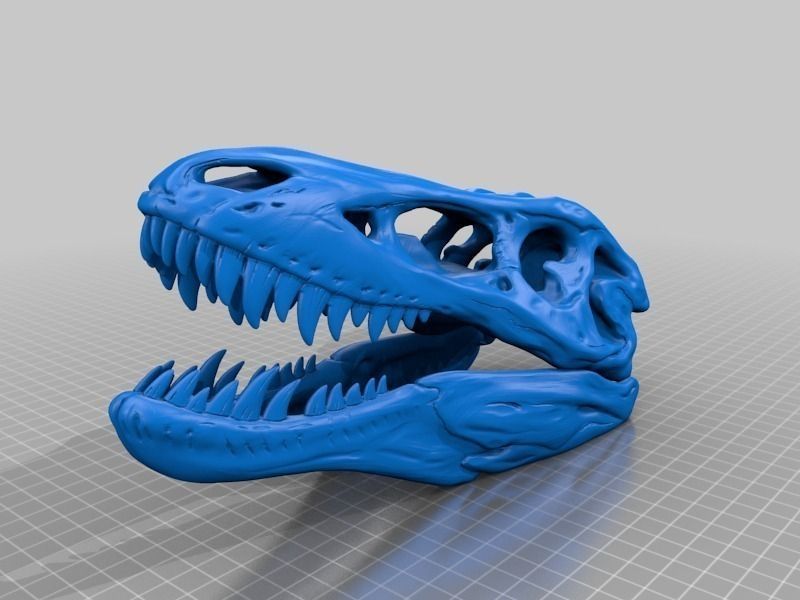 Pinocchio Rex Qianzhousaurus sinensis free 3D model 3D printable | CGTrader