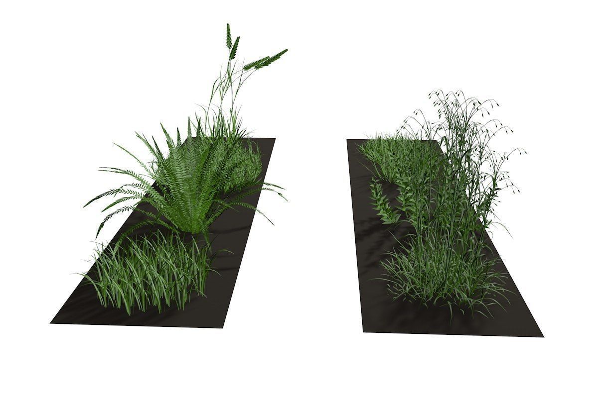 Herbage Various Set 3D model | CGTrader