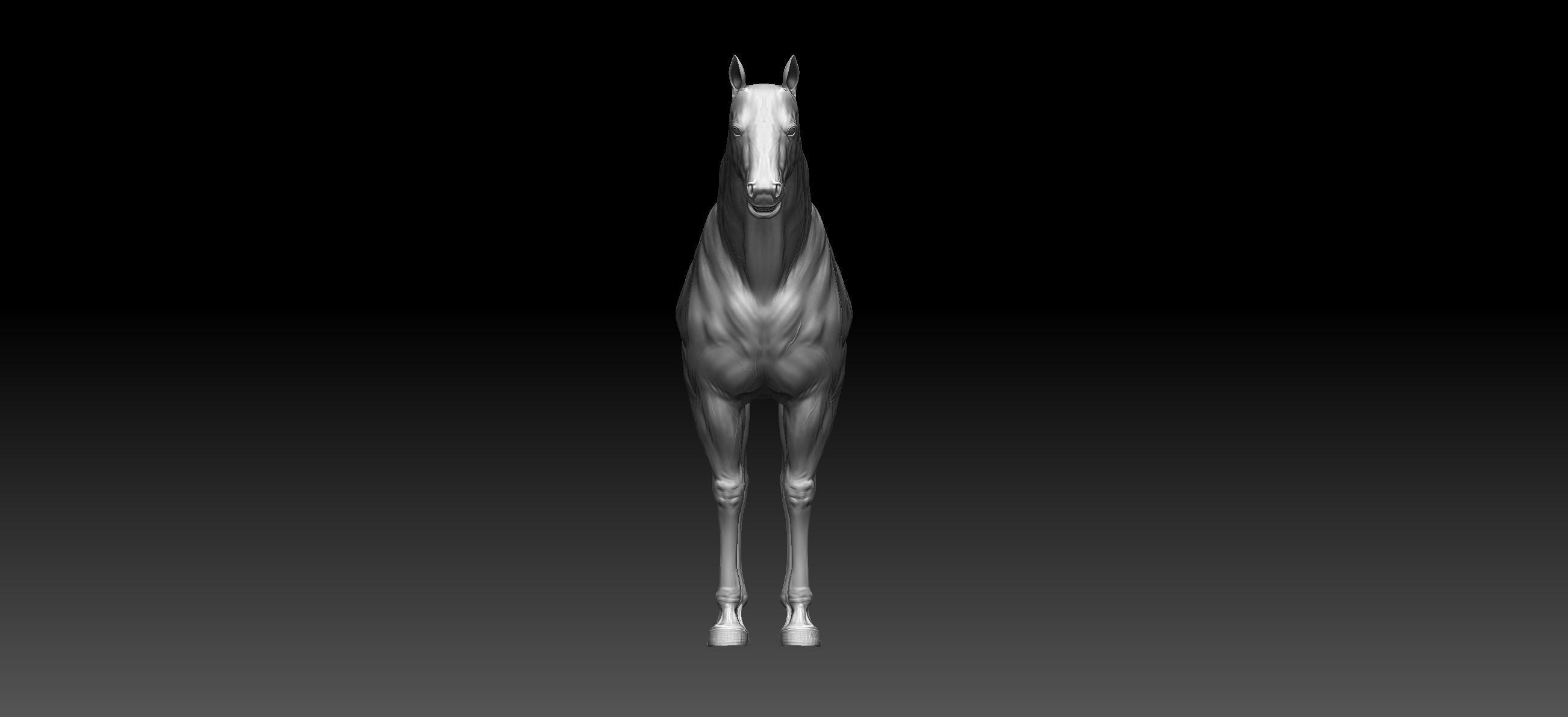 Horse Realistic Zbrush 3D model base mesh 3D model | CGTrader