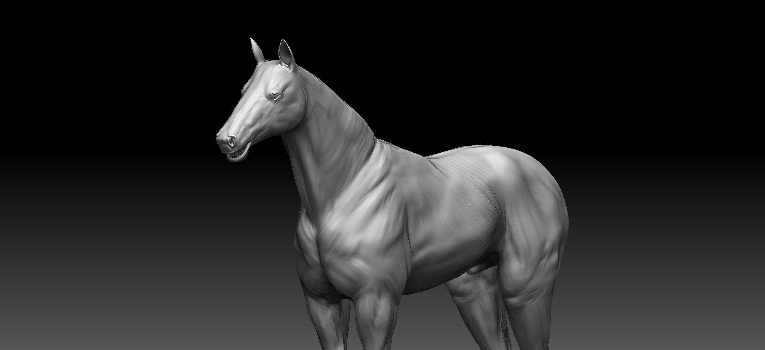 Horse Realistic Zbrush 3D model base mesh 3D model | CGTrader