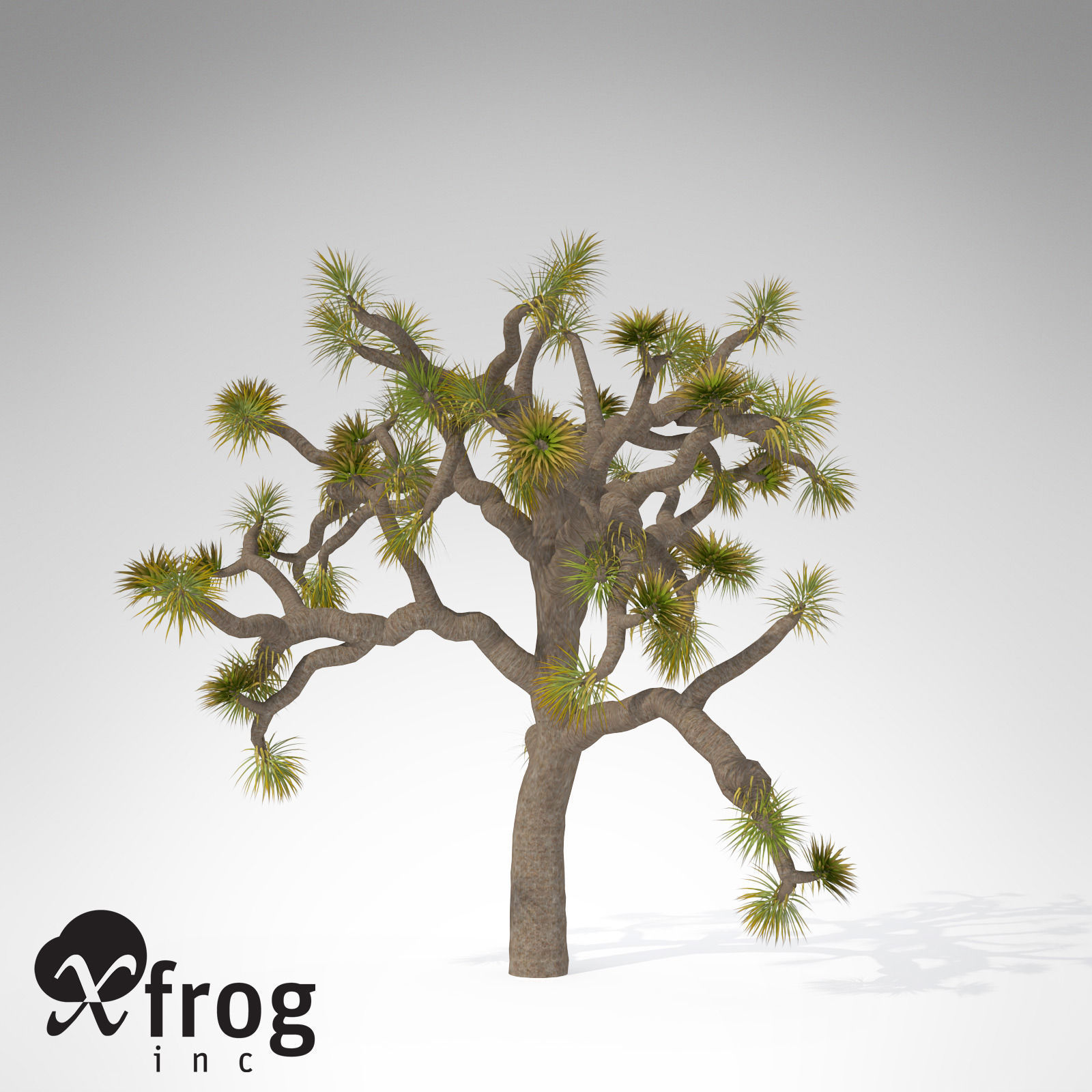 Joshua Tree 3D model | CGTrader