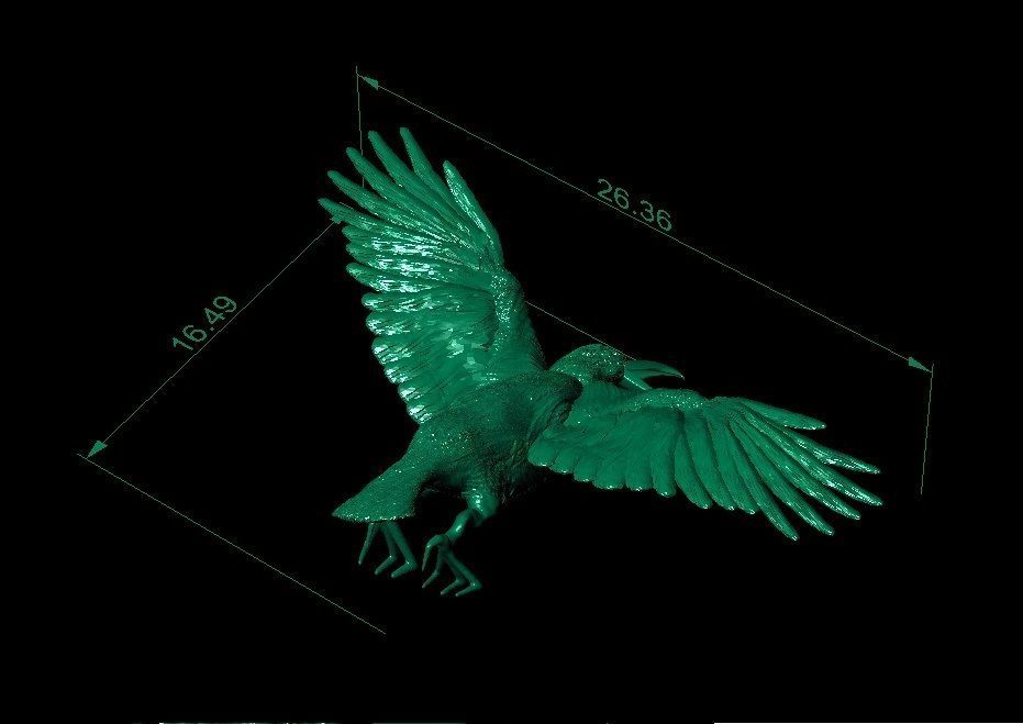 beautiful crow 3D model 3D printable | CGTrader