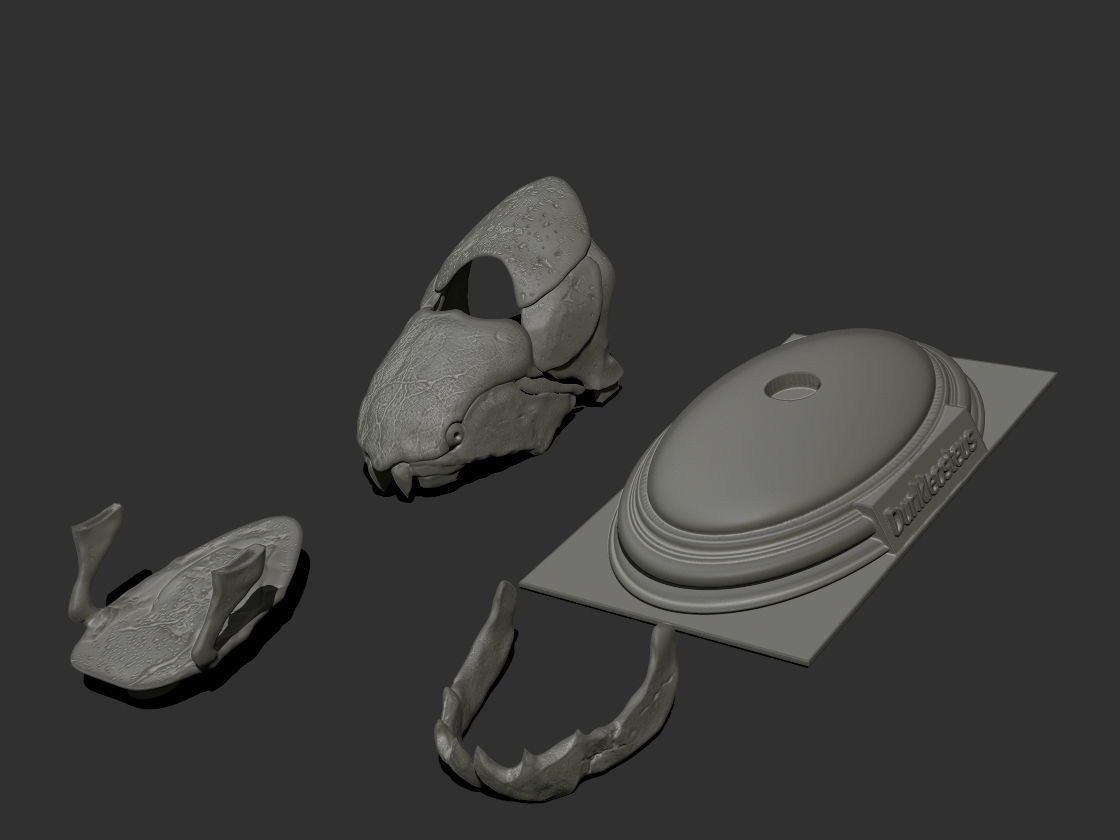 Statue the skull of a prehistoric fish 3D model 3D printable | CGTrader