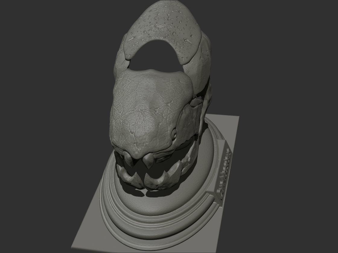 Statue the skull of a prehistoric fish 3D model 3D printable | CGTrader