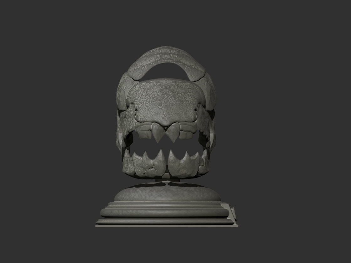Statue the skull of a prehistoric fish 3D model 3D printable | CGTrader