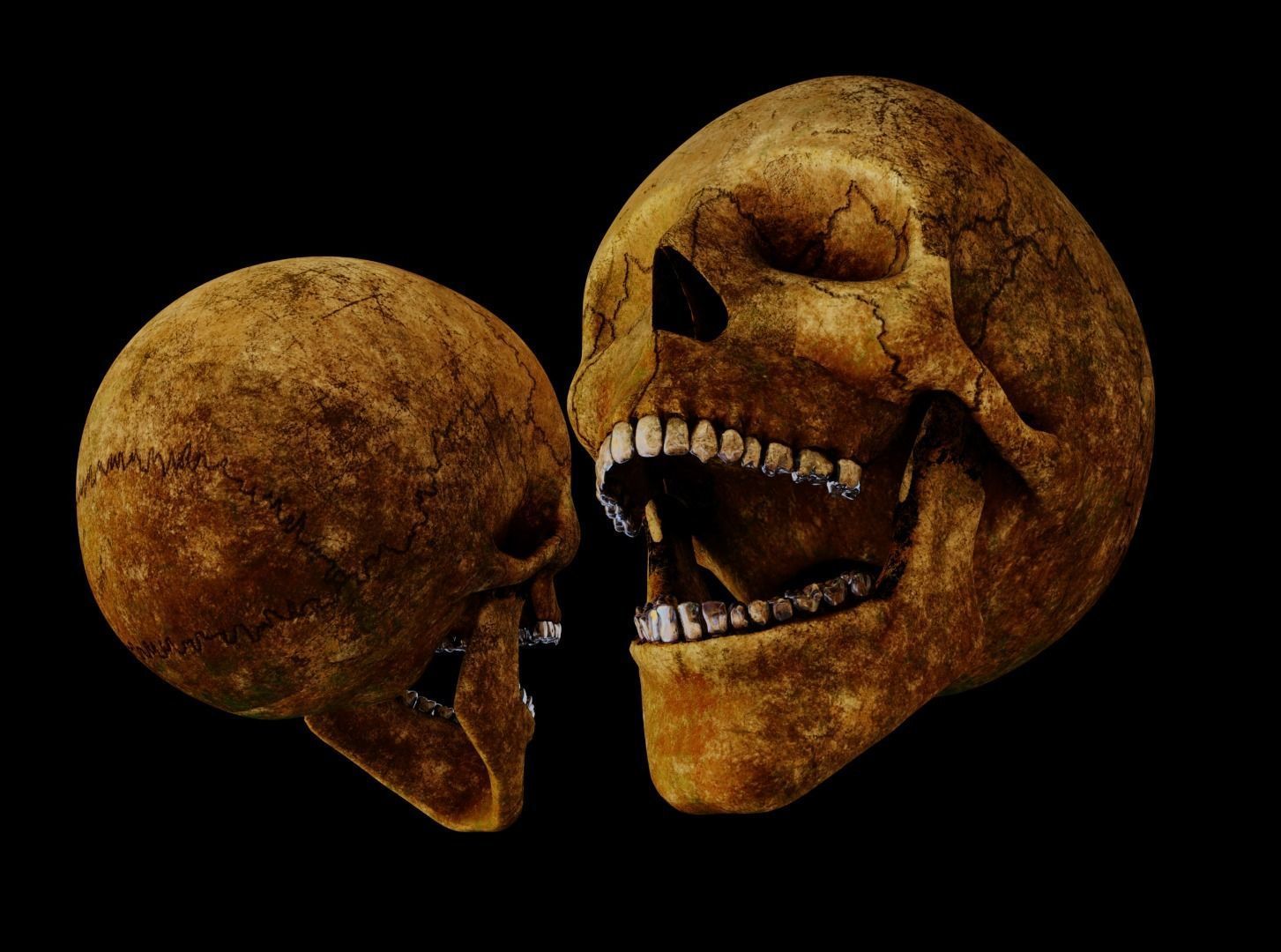 Rotting Skull 3D model rigged | CGTrader