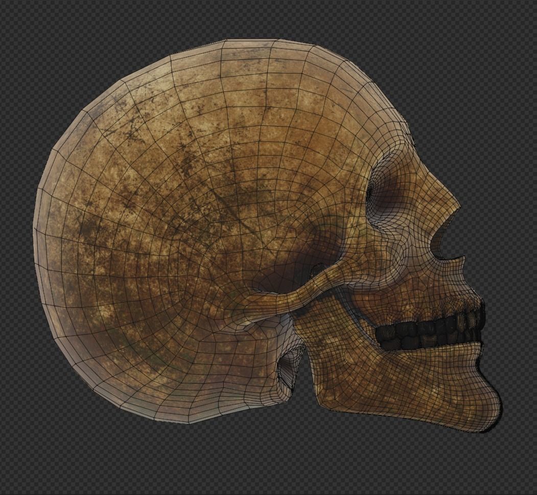 Rotting Skull 3D model rigged | CGTrader