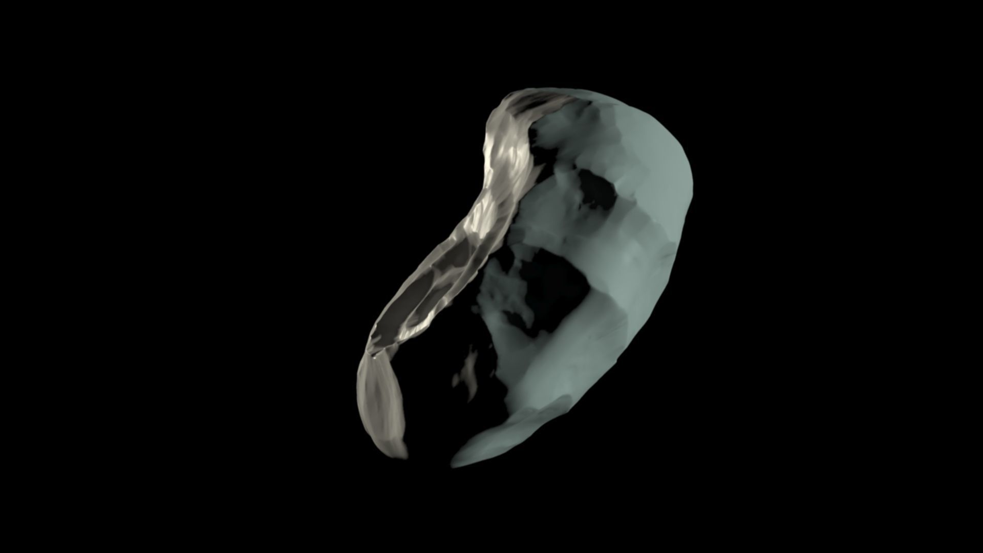 ancient petrified shell 3D model | CGTrader