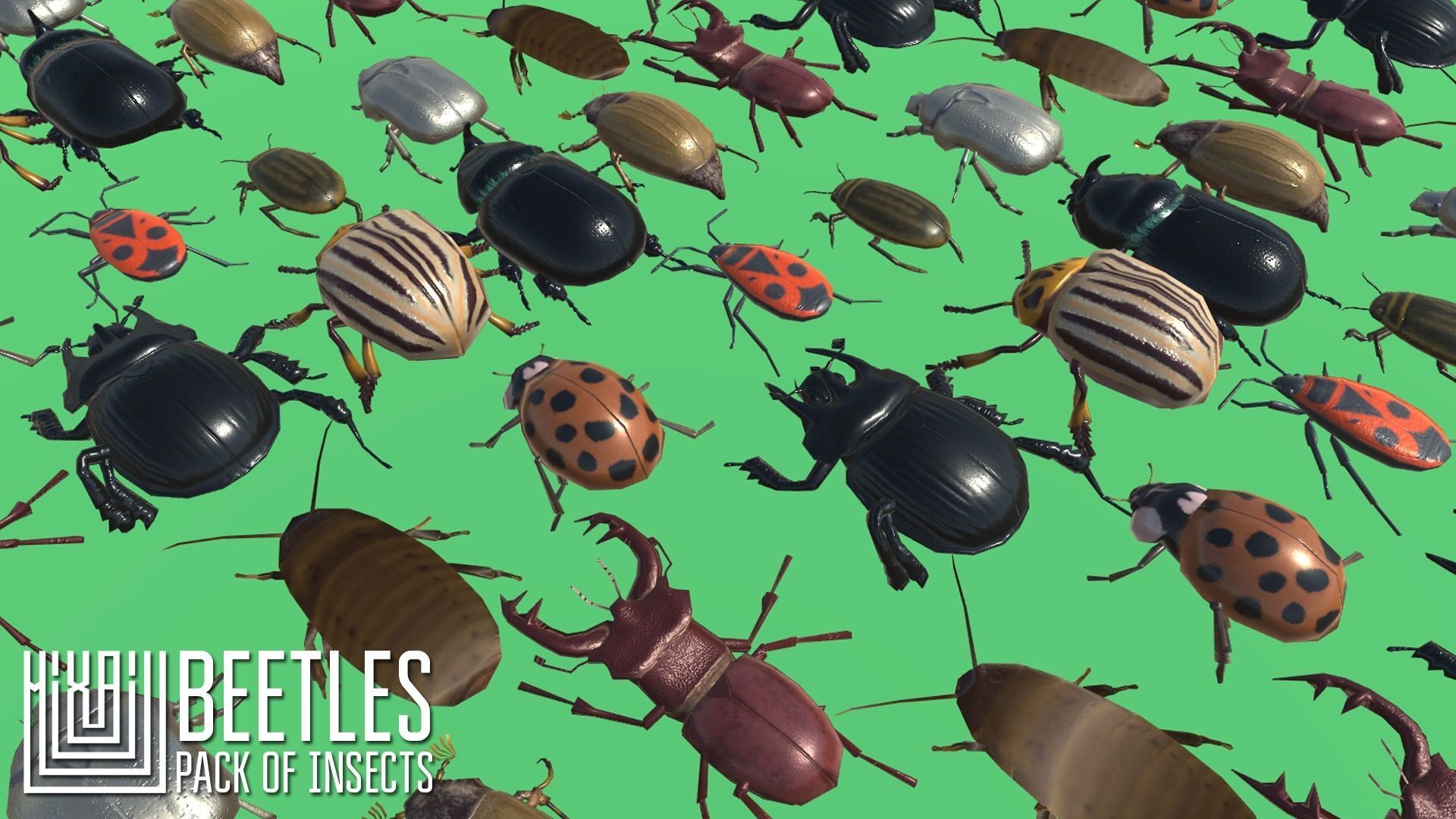 3D model Beetles - pack of insects VR / AR / low-poly rigged | CGTrader