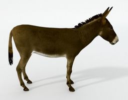 Donkey 3D Models | CGTrader