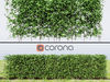 hedge plant 3D model | CGTrader