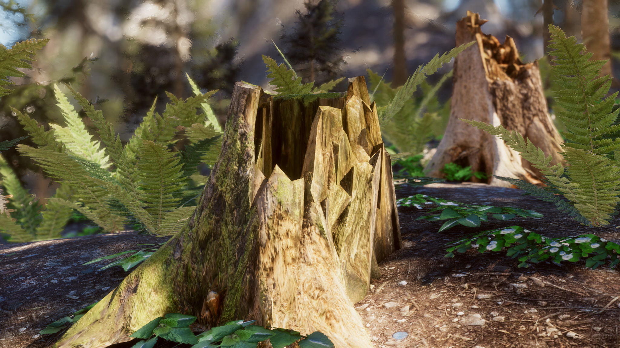 3D model 17 Photo-scanned Conifer Stumps VR / AR / low-poly | CGTrader