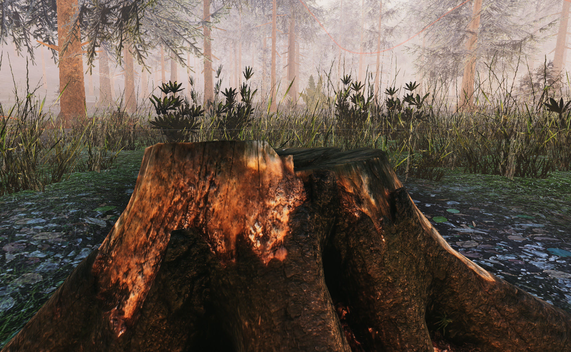 3D model 17 Photo-scanned Conifer Stumps VR / AR / low-poly | CGTrader
