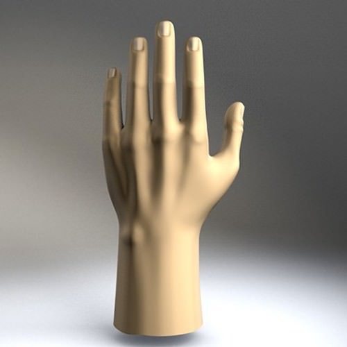 Hand model 3D Model OBJ 3DS FBX C4D DXF X | CGTrader.com