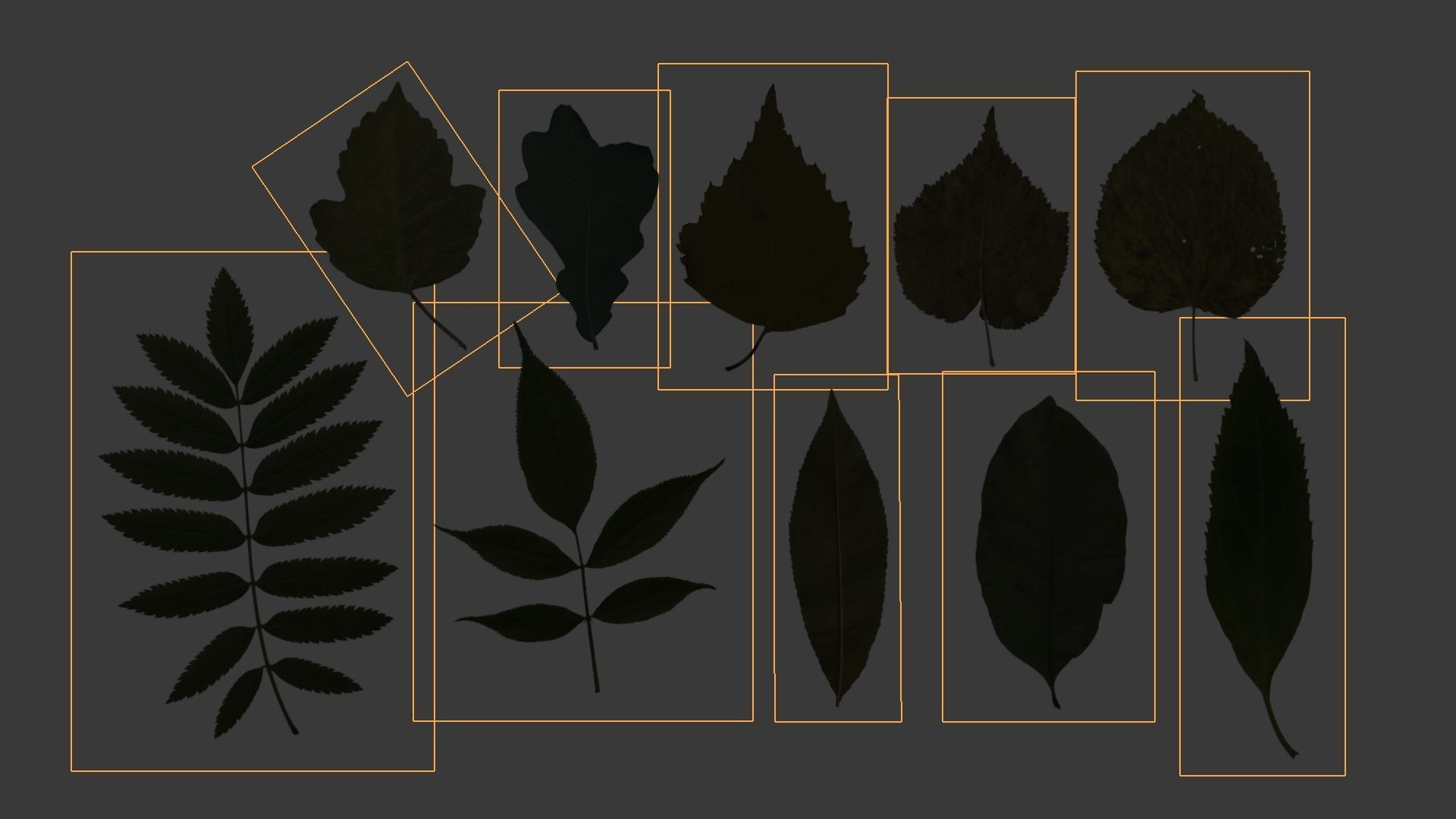 Lowpoly leaf set on sky free VR / AR / low-poly 3D model | CGTrader