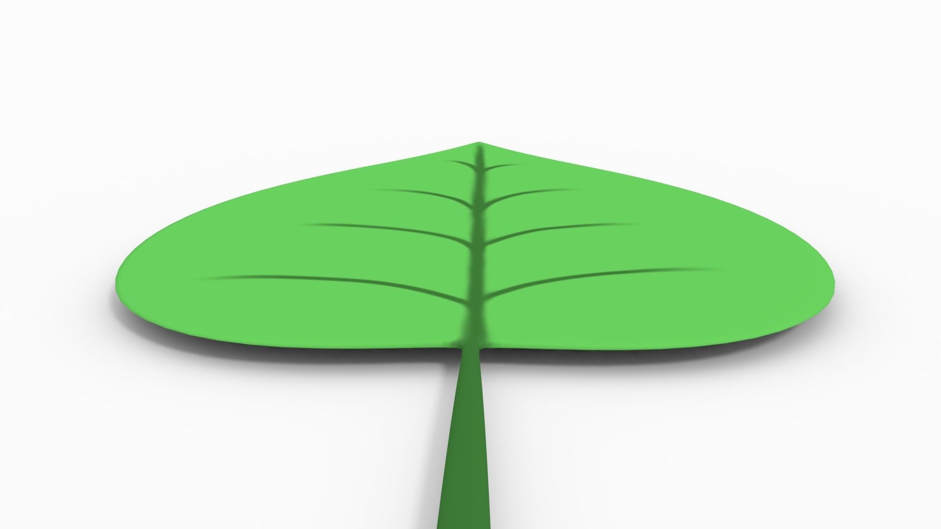 Leaf with Shapes 3D model | CGTrader