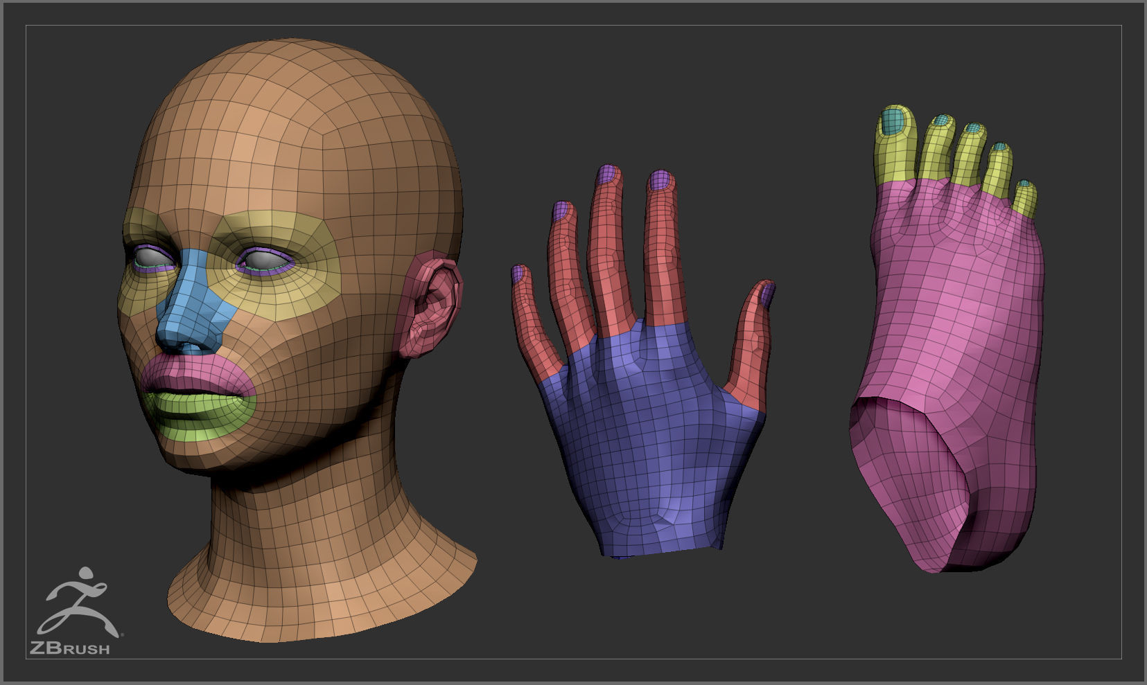 3D model Average Caucasian Female Body VR / AR / low-poly | CGTrader