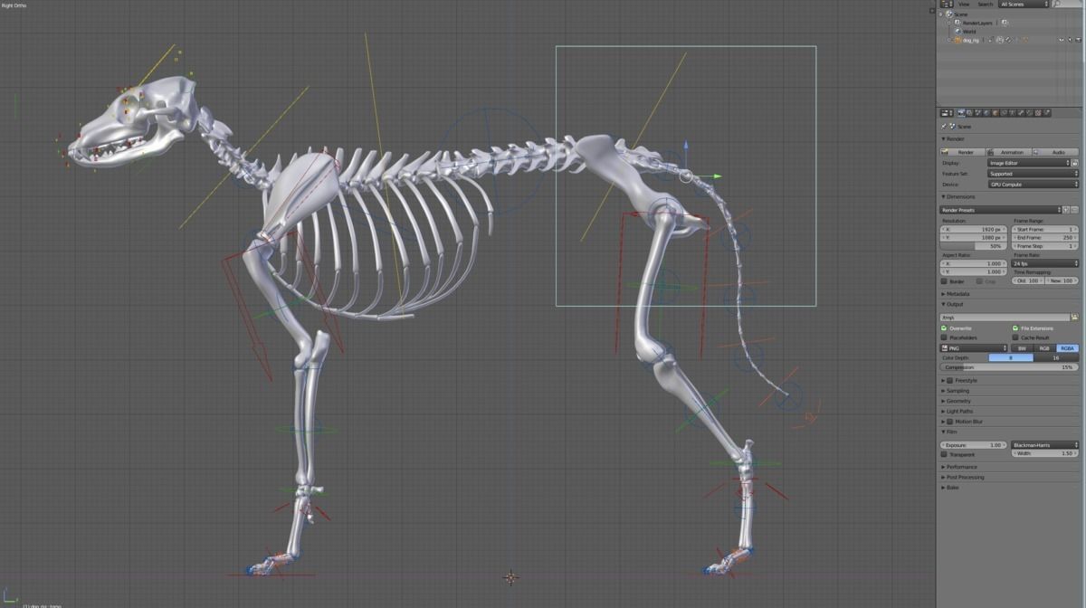 3D model Dog Skeleton VR / AR / low-poly rigged | CGTrader