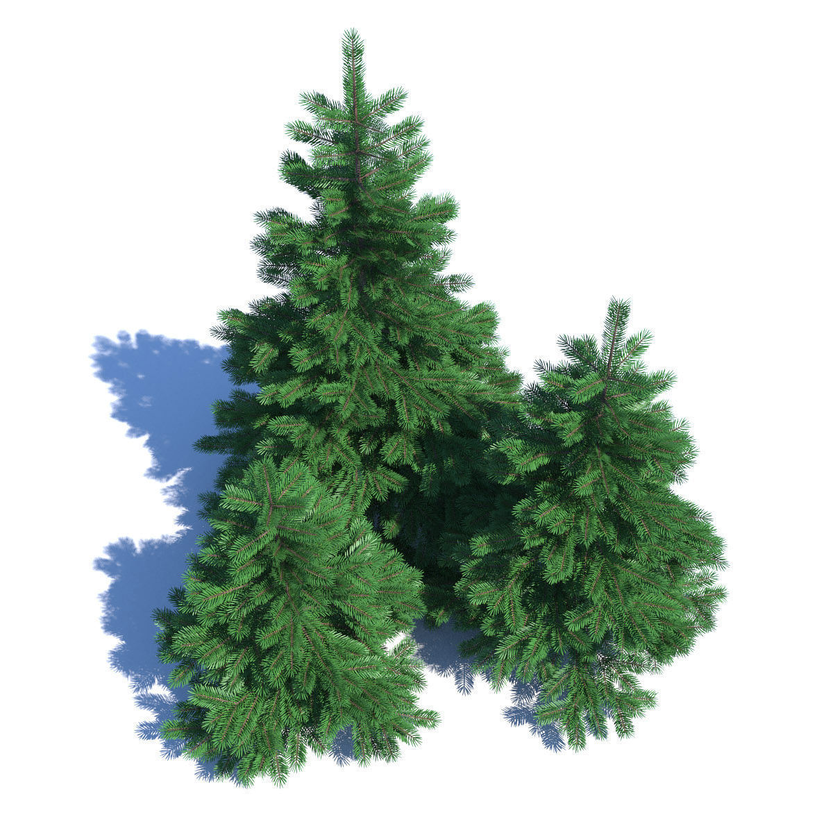 Fir-tree Set 01 3D model | CGTrader