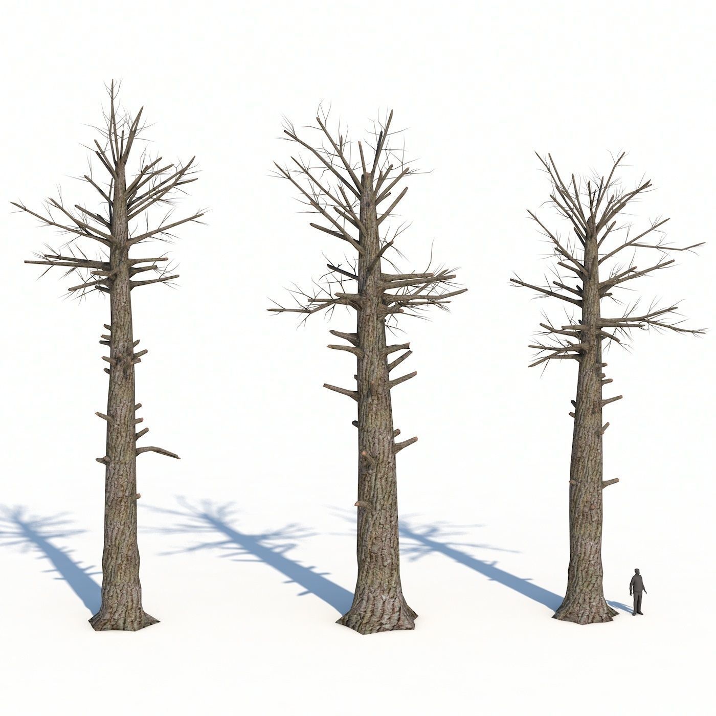 3D model Dead Giant Redwoods Trees VR / AR / low-poly | CGTrader