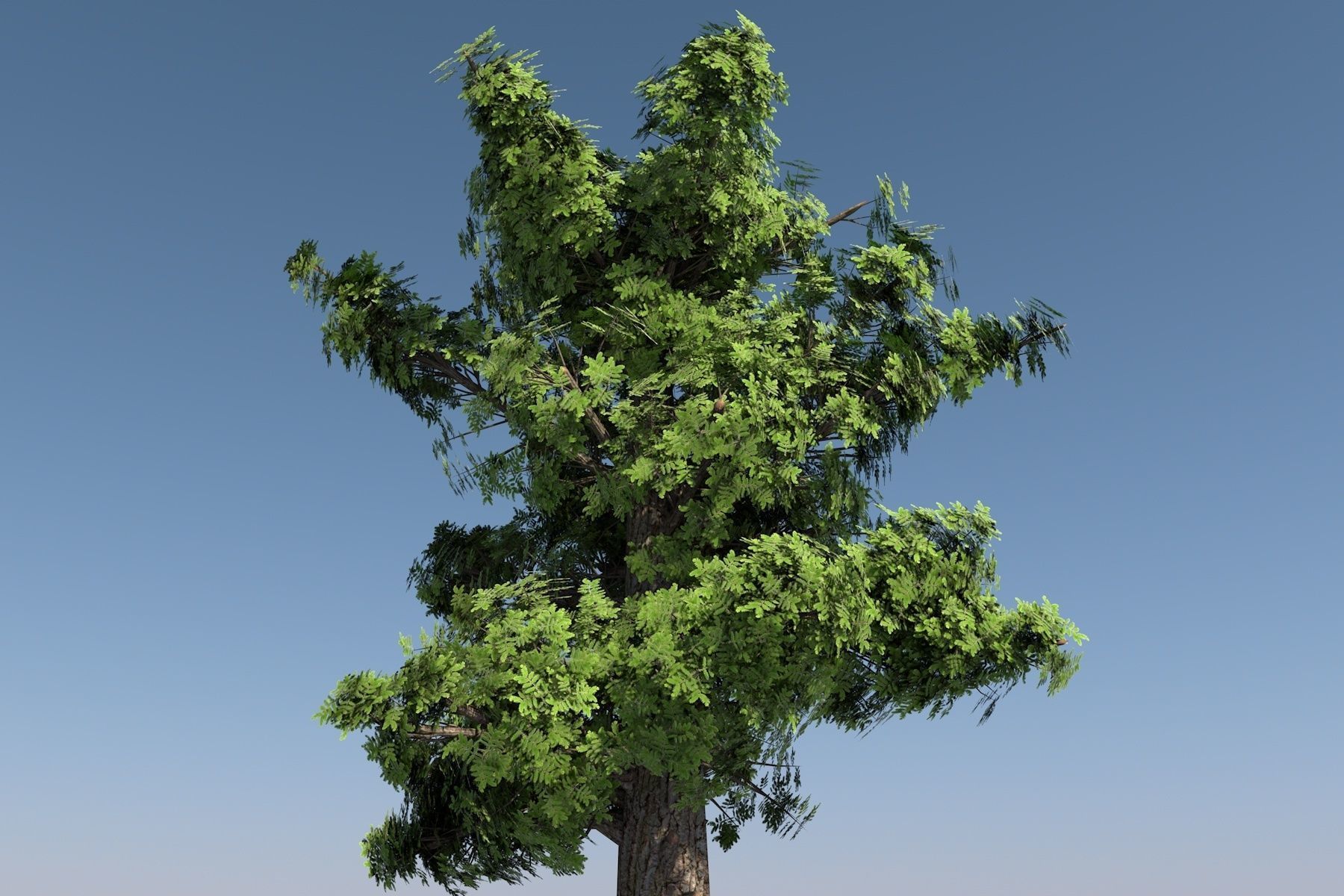 3D model Giant Redwood Tree VR / AR / low-poly | CGTrader