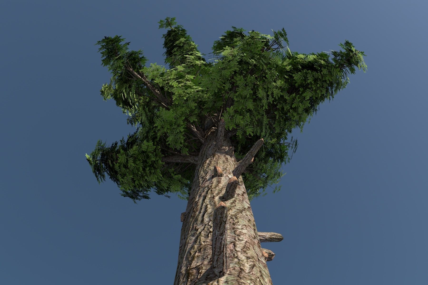 3D model Giant Redwood Tree VR / AR / low-poly | CGTrader