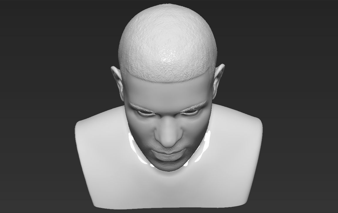 Drake bust 3D printing ready stl obj formats 3D model 3D printable ...