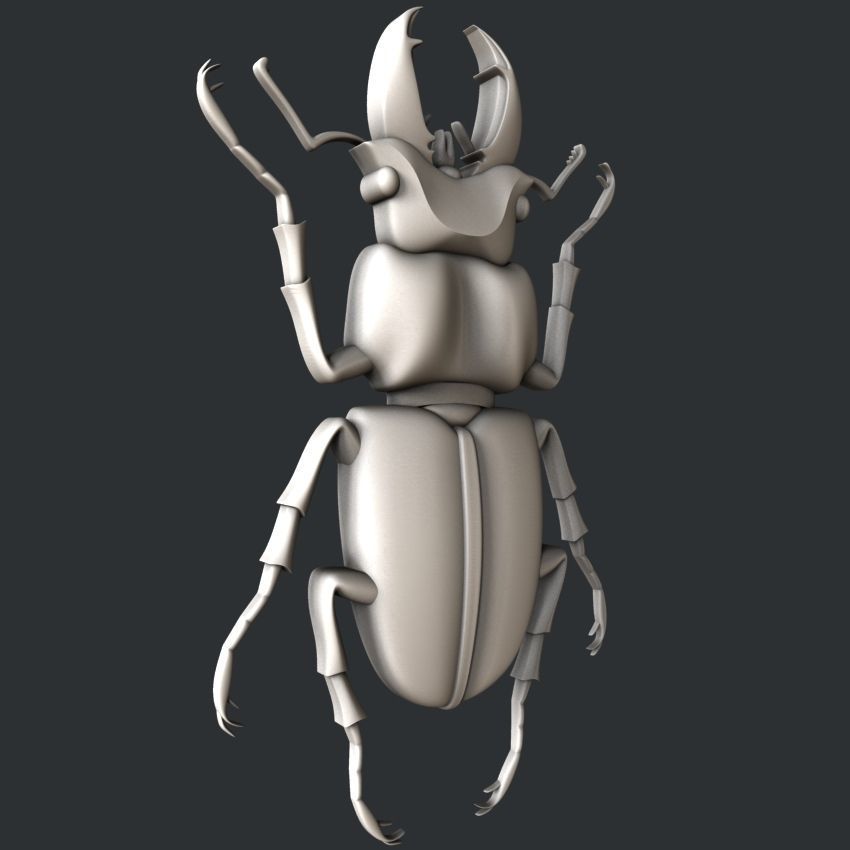 3d STL models for CNC bug 3D model | CGTrader