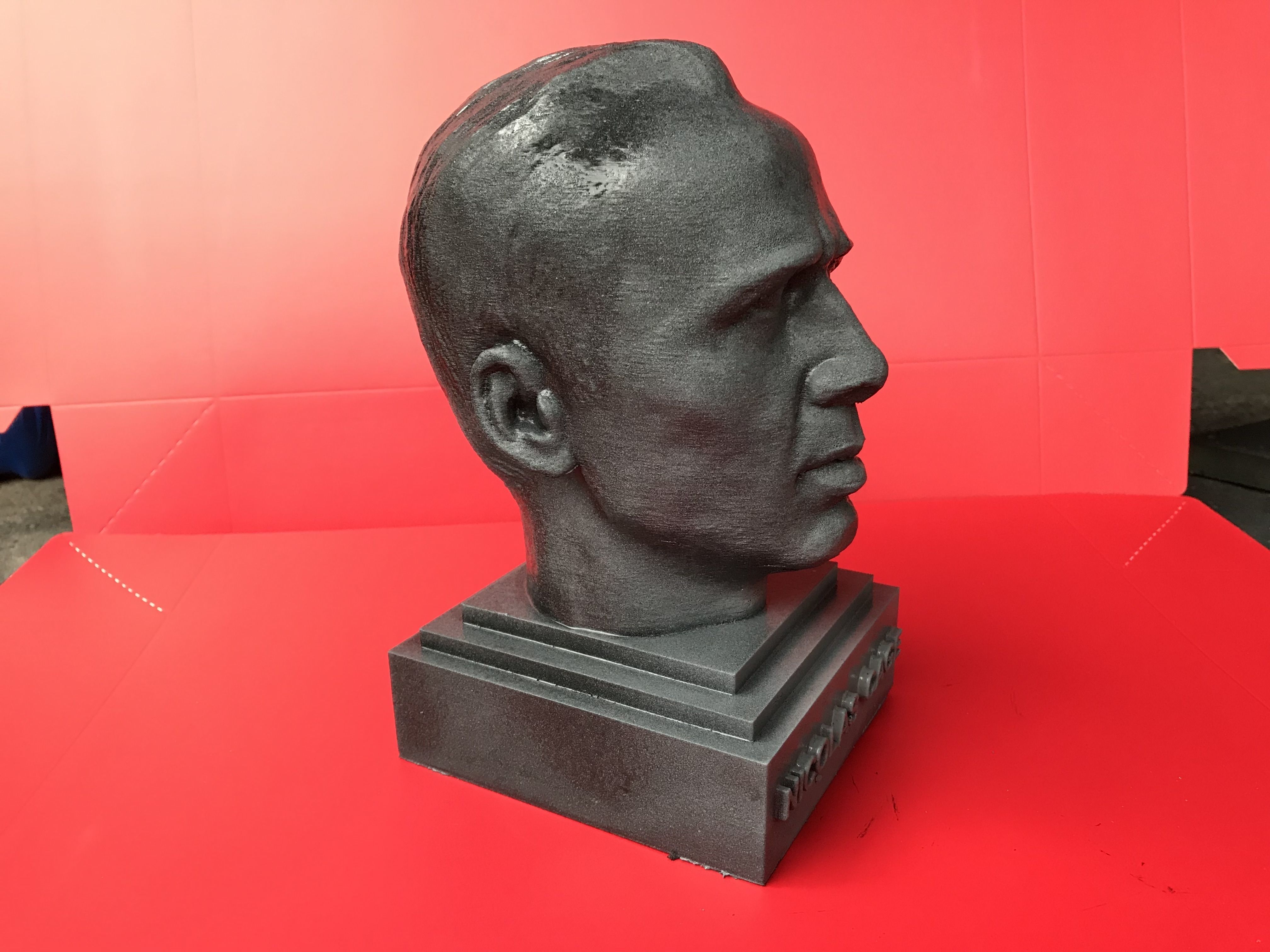 Nicolas Cage bust 3D model 3D printable | CGTrader
