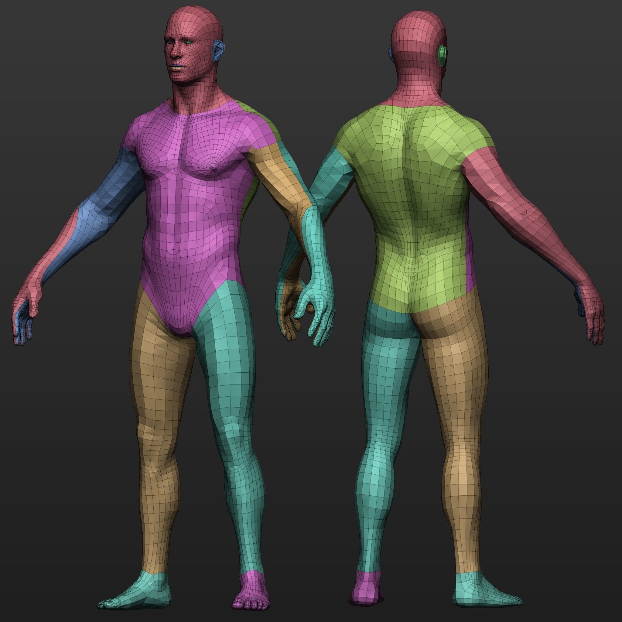 Hi res Male body model 3D model | CGTrader