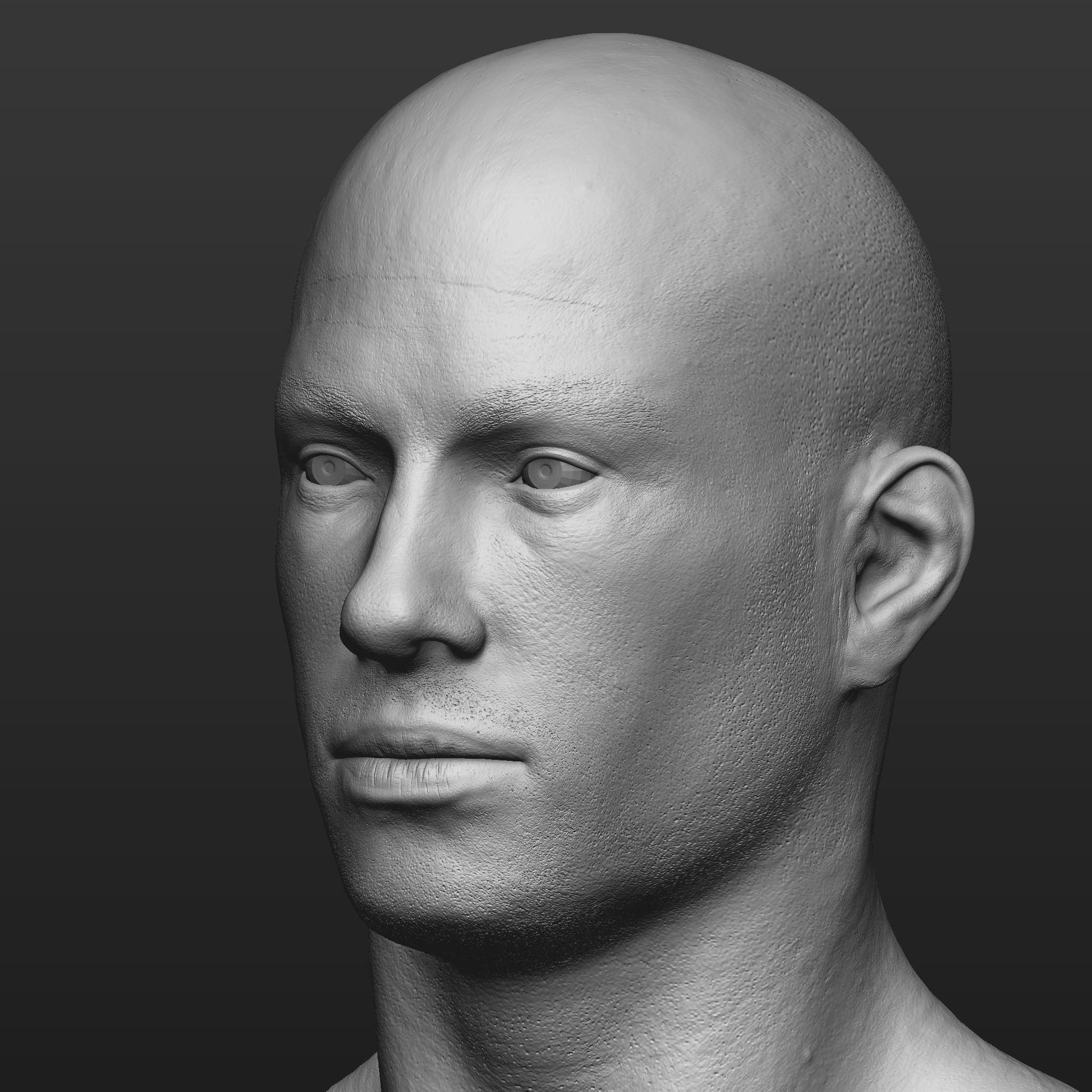 Hi res Male body model 3D model | CGTrader
