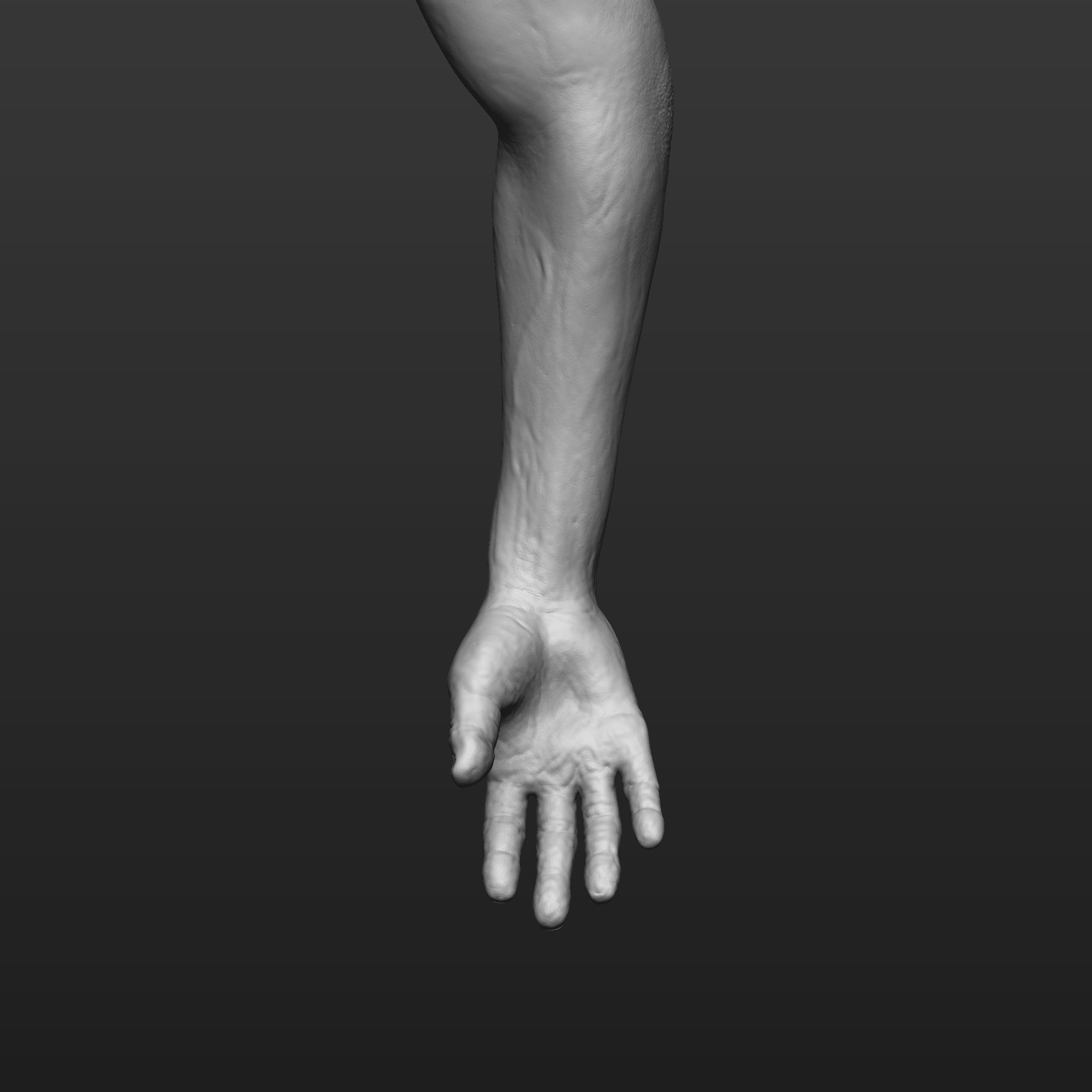 Hi res Male body model 3D model | CGTrader