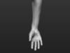 Hi res Male body model 3D model | CGTrader