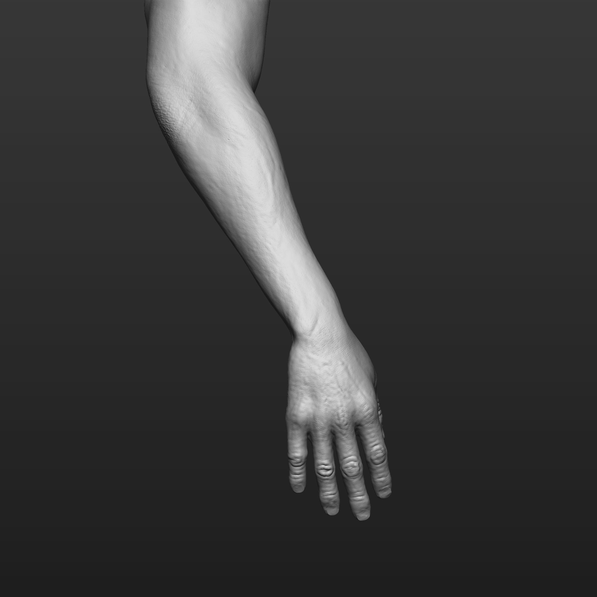 Hi res Male body model 3D model | CGTrader