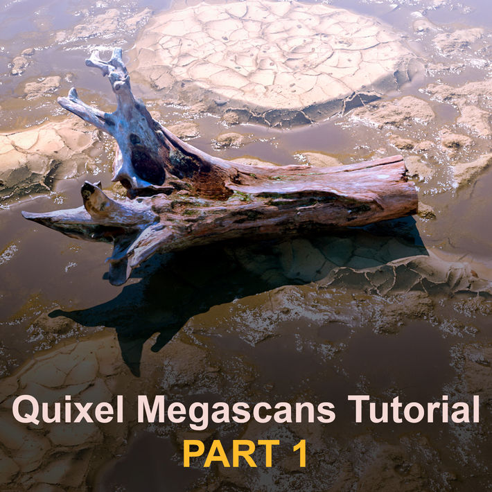 Analyze of Quixel Megascans tool and render it assets in Vray. Part 1 ...