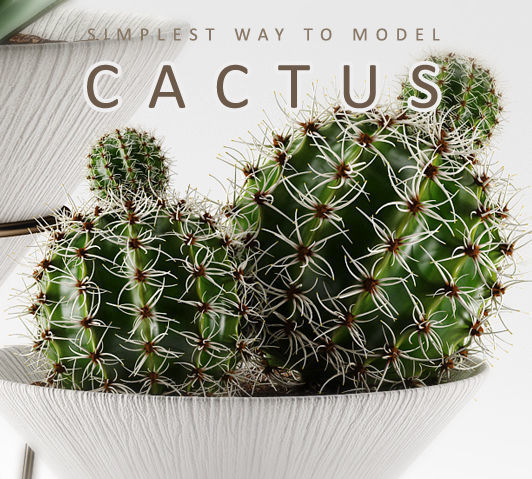 MODELING CACTUS IN SIMPLEST WAY