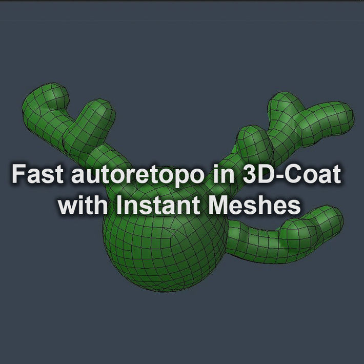 Instant meshes in 3D-Coat. Fast Autoretopology