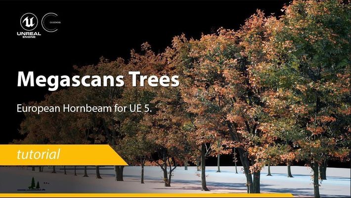 New Quixel Megascans Trees: European Hornbeam for Unreal Engine 5.