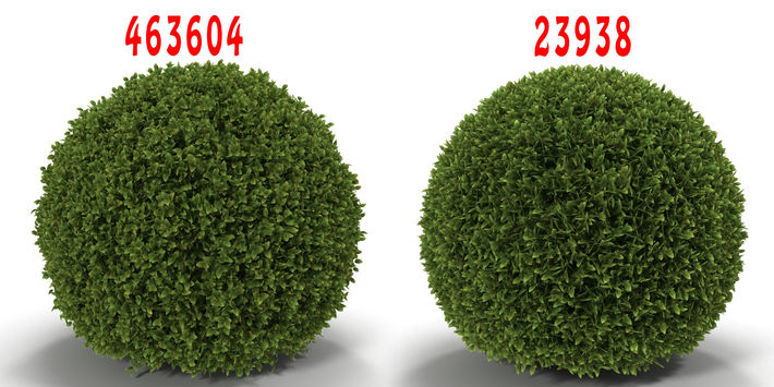 How to make a 3D model of the hedge