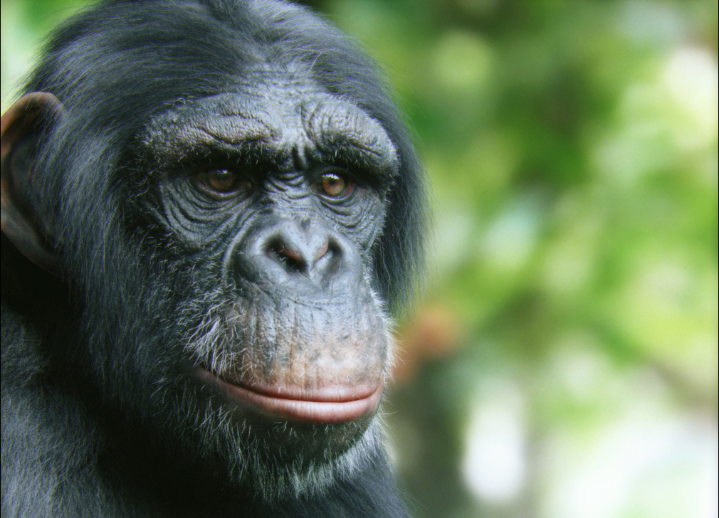 The Wildlife in 3D: 16 Astonishing Computer-Generated Images - Blog ...