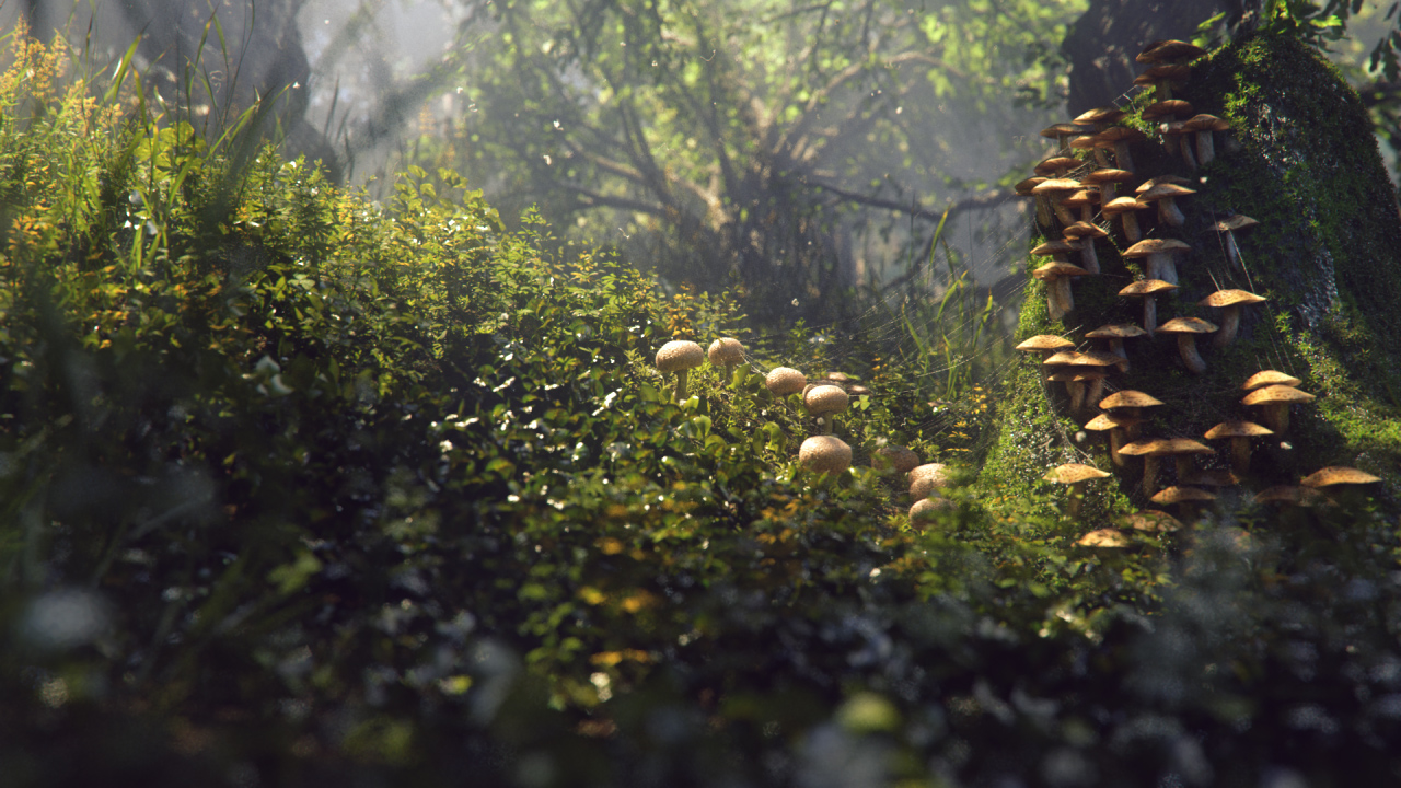 25 Photorealistic Landscape 3D Renderings: If Only Those Places Existed ...